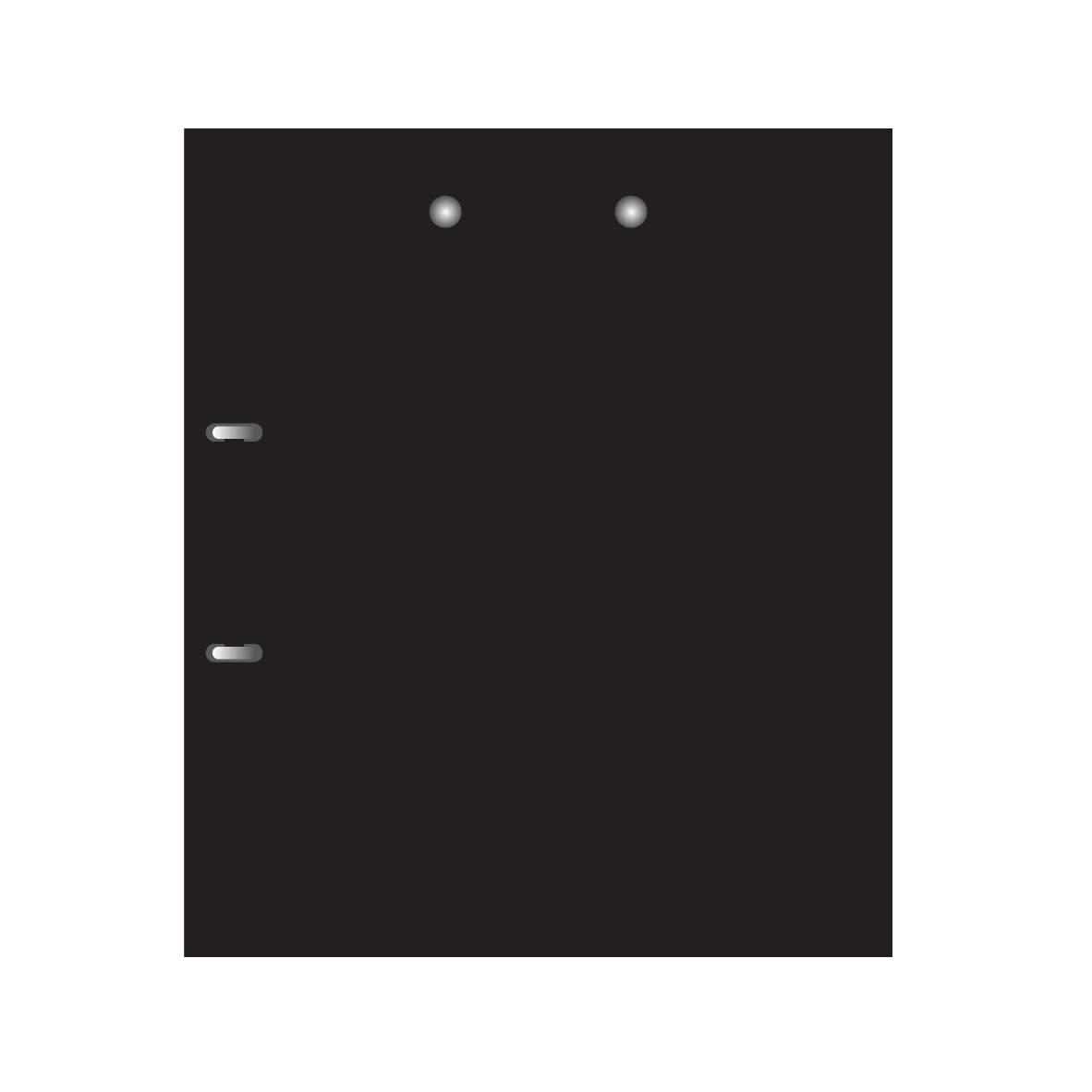 Ring Binder File – ASTAR